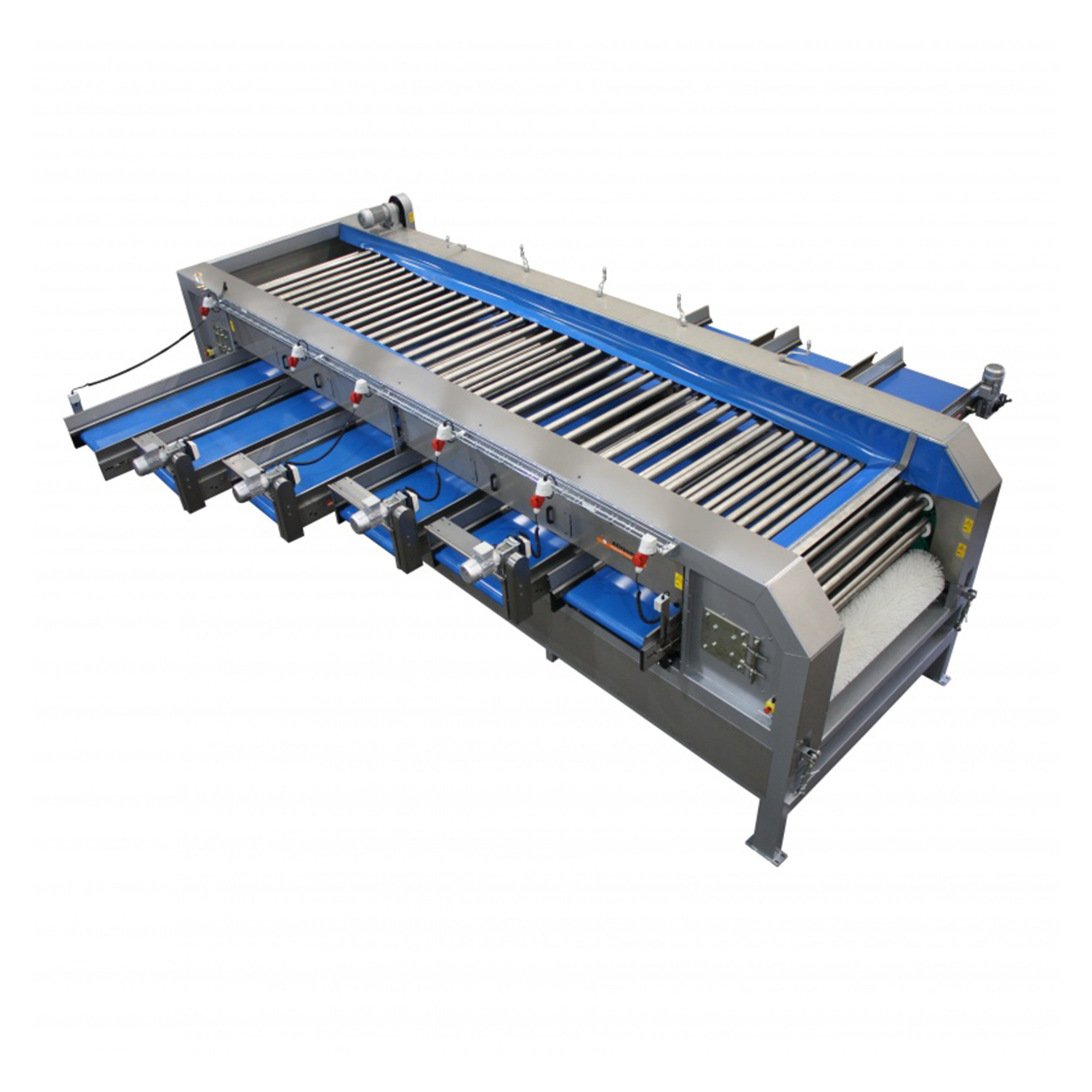 Allround Vegetable Processing - The initiator and executor of Dutch DC